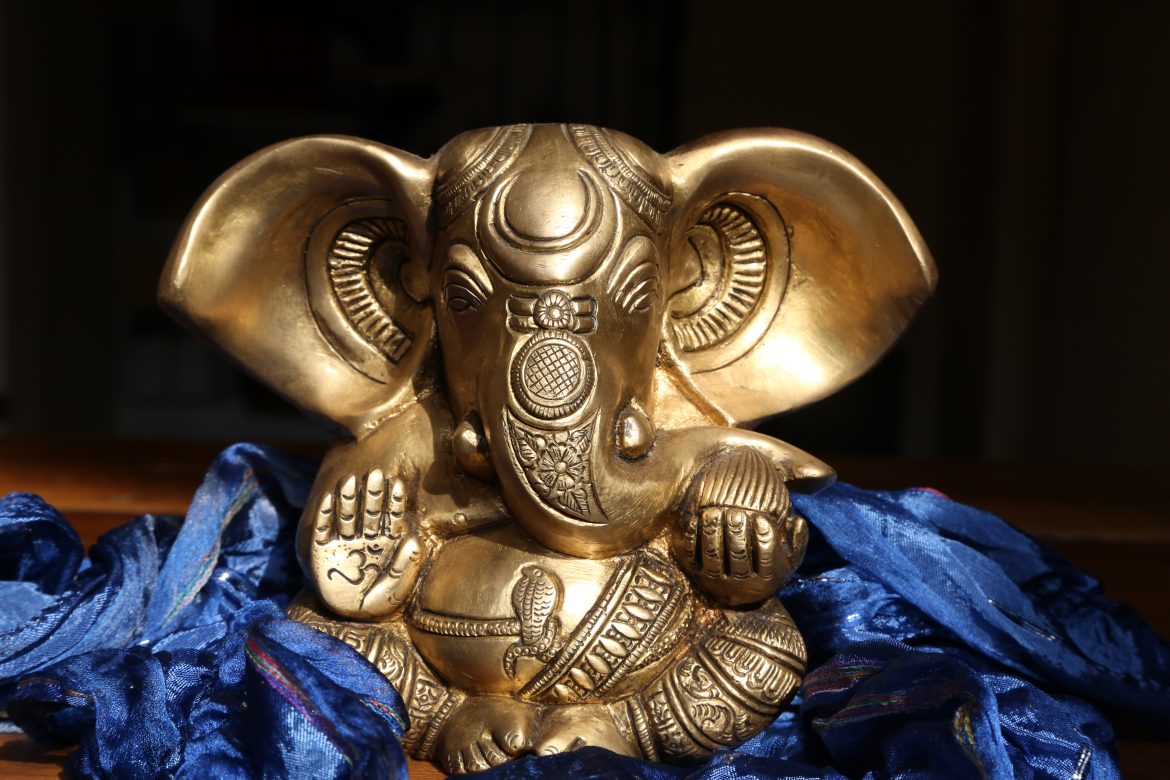 The Elephant in the Room | Tikkun